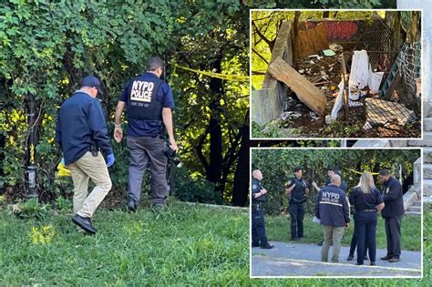Jogger Sexually Assaulted At Knifepoint At Nyc Park