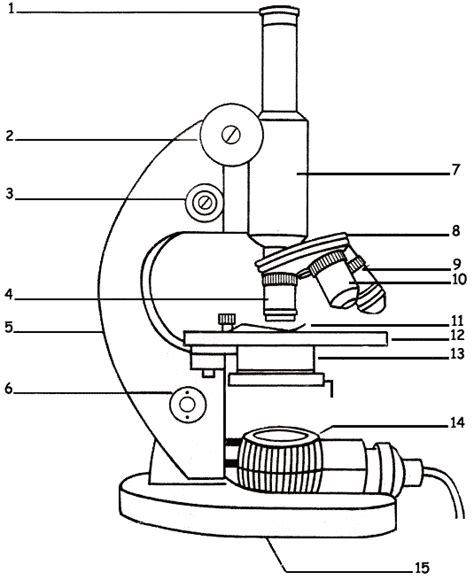 Blank Microscope Diagram