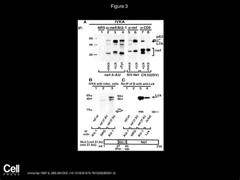 Volume 6 Issue 3 Pages March 1997 Ppt Download