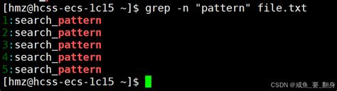 Linux基本命令篇 —— Grep命令 Csdn博客