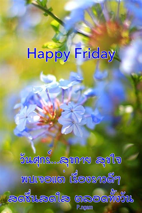 วันศุกร์ สุขสันต์วันศุกร์ วันศุกร์ สวัสดีตอนเช้า