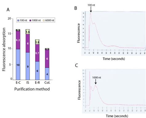 Analysis Of Arna Generated After Different Cdna Purification Methods