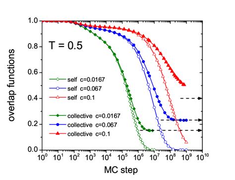 Time Dependence Of The Self And Collective Overlap Correlation