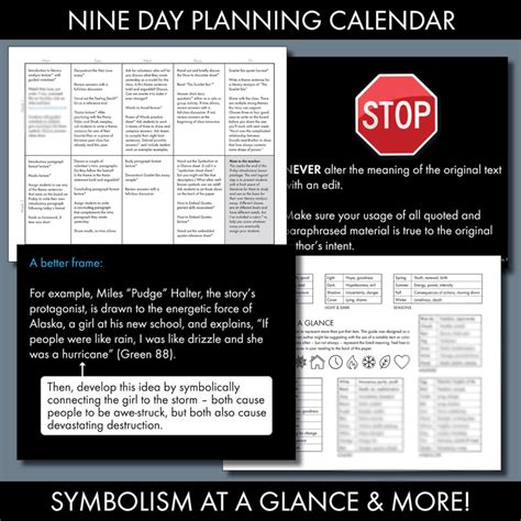 Literary Analysis Essay Introduction To Lit Analysis Essay Writing Ccss Laura Randazzo Literary Analysis Essay Introduction To Lit Analysis Essay Writing Ccss Laura Randazzo