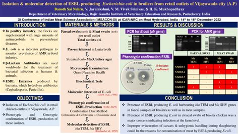 Pdf Isolation And Molecular Detection Of Esbl Producing Escherichia
