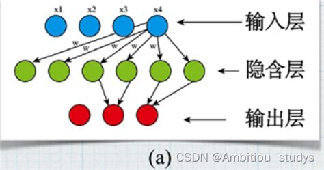 Bp神经网络理论bp领域 Csdn博客