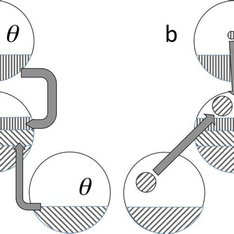 Two Stage Sampling Scheme A First Sampling Of θn Adjacencies From Download Scientific Diagram