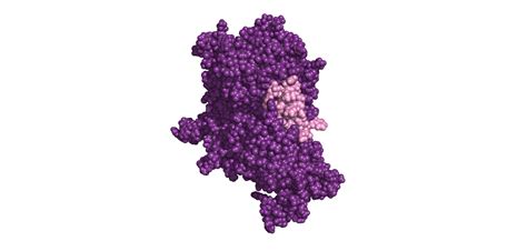 Ai For Biologics Ardigen Top Ai Powered Cro For Drug Discovery