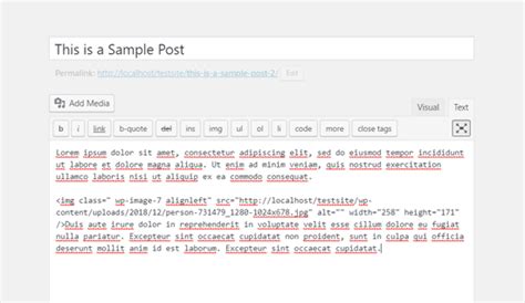 How To Use Distraction Free Full Screen Editor In WordPress
