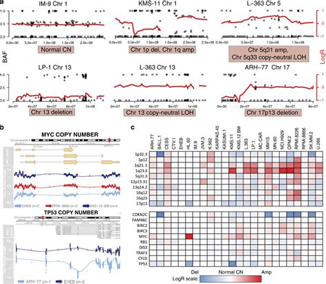 Copy Number CN And Loss Of Heterozygosity LOH Analysis A Download Scientific Diagram