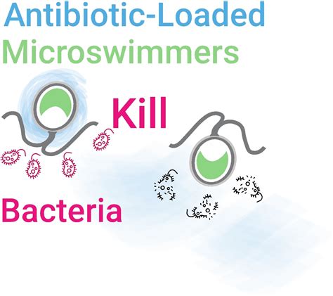 Biohybrid Microswimmers For Antibiotic Drug Delivery Based On A Thiol‐sensitive Release Platform