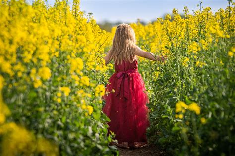 200000 Free Girl Red Hair And Girl Images Pixabay