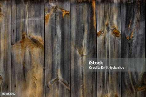 나무 보드의 오래된 페인트벽의 질감 보드에 매듭을 많이 0명에 대한 스톡 사진 및 기타 이미지 0명 거친 고풍스런 Istock