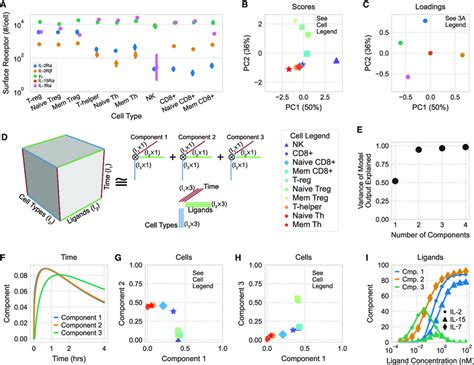 Tensor Factorization Map Model Predicted Cytokine Responses A Download Scientific Diagram