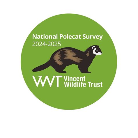 National Polecat Survey