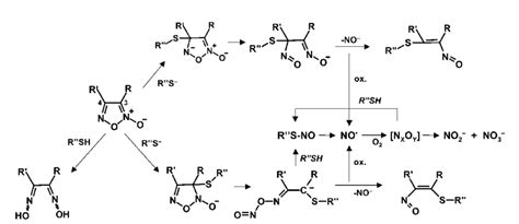 No Release From Furoxan In Physiological Solution Under The Action Of Download Scientific