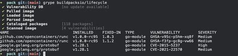 Cves Found · Issue 1605 · Buildpackspack · Github