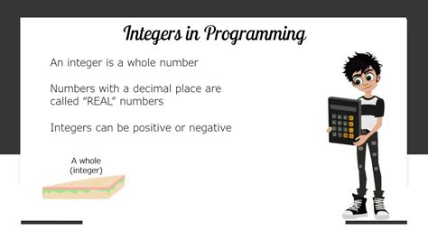 Integer Computer Science