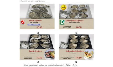 example choice set with visual shelf simulation download scientific
