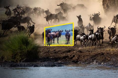 Samit Bhat On Linkedin What If The Difference Between Adversity And
