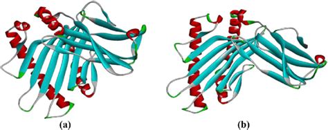 Modelled Structure Of Hla Class I Alleles A Molecular Structure Of Download Scientific Diagram