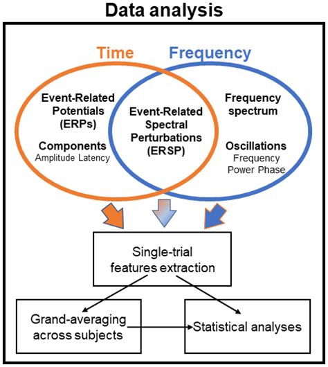 8 Schematic Representation Of The Analyses Applied To The EEG Data Download Scientific