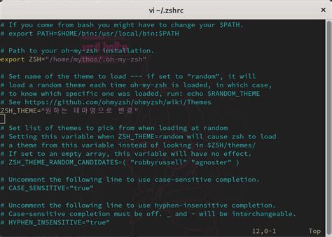 Linux Zsh Oh My Zsh 로 쉘 꾸미기