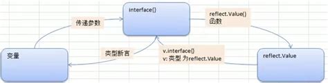 Golang 反射reflect 潇潇暮鱼鱼 博客园