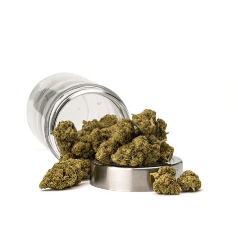 Shop Thca Flower Sex Panther Online Cannabuddy