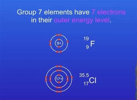 Group 7 Part 1 Flashcards Quizlet Group 7 Part 1 Flashcards Quizlet