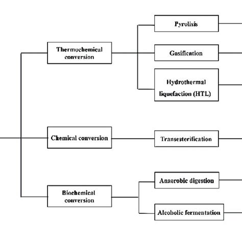 Principal Conversion Processes For Biofuel Production Through Download Scientific Diagram