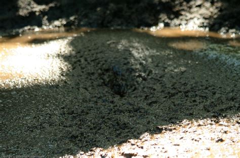 Crystal's amazing sinking sequence : r/quicksand