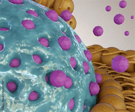 Lipid Bilayer Coating Mesoporous Silica Nanoparticle As Nanodrugs