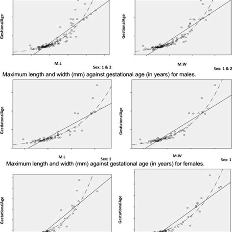 Regression Curves Obtained By Plotting Maximum Length And Width In
