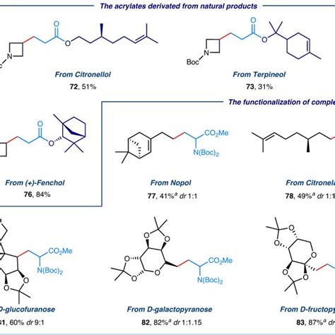 Scope Of The Electrochemical Halogen Atom Transfer E Xat