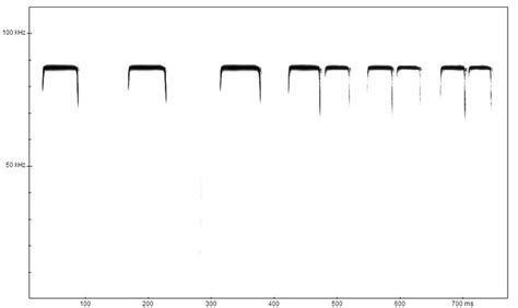 Spectrogram Of Echolocation Calls Of Rhinolophus Clivosus Cretzschmar