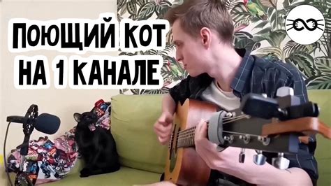 Поющий кот на 1 канале Youtube