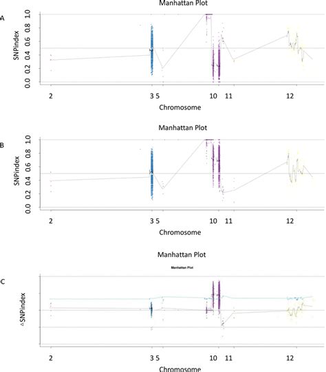 Snp Index Graphs Of H Pool A L Pool B And Δsnpindex Graph C