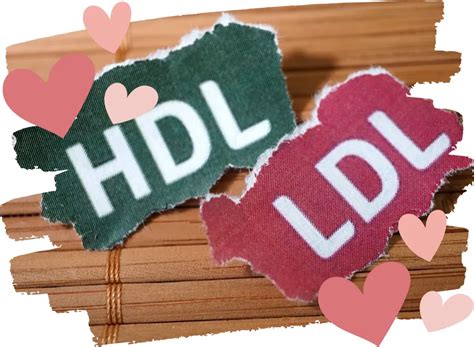 Why Cholesterol Spikes In Perimenopause What Every Woman Over 40 Needs To Know