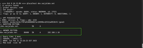 Setting Up Local Dns Server On Centos 9 With Bind