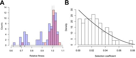 The Distribution Of Fitness Effects Among Synonymous Mutations In Worksheets Library The Distribution Of Fitness Effects Among Synonymous Mutations In Worksheets Library
