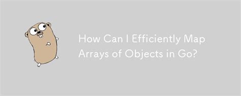 How Can I Efficiently Map Arrays of Objects in Go?-Golang-php.cn