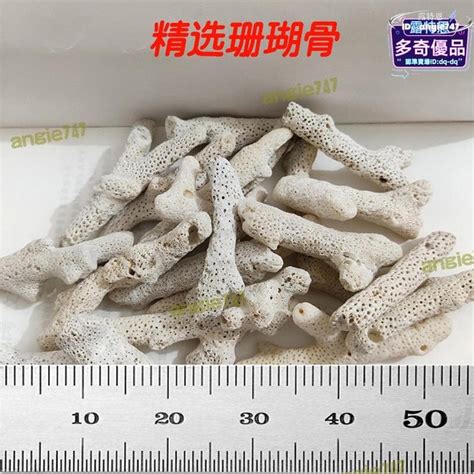 【品質認證】【限時特價】穩定ph水質魚缸珊瑚石珊瑚骨大塊條形錦鯉池魚池珊瑚砂底濾材材料 露天市集 全台最大的網路購物市集