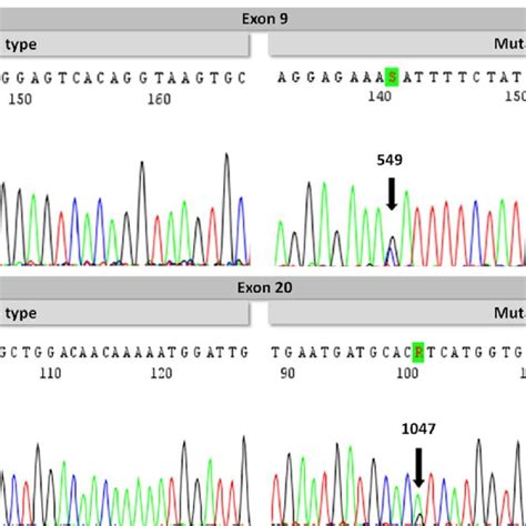 electropherogram of pik3ca gene exon 9 wild type sequence and mutated
