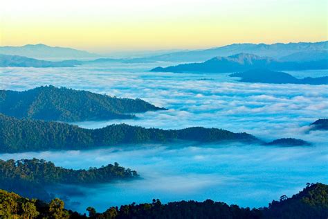 หมอกหนาๆ บนยอดดอยม่อนเงาะแม่แตงเชียงใหม่ อยากเที่ยวตรงไหนเราพาเที่ยวได้จ้า 🎉🎉🎉🎉 Akhomestayโฮมส