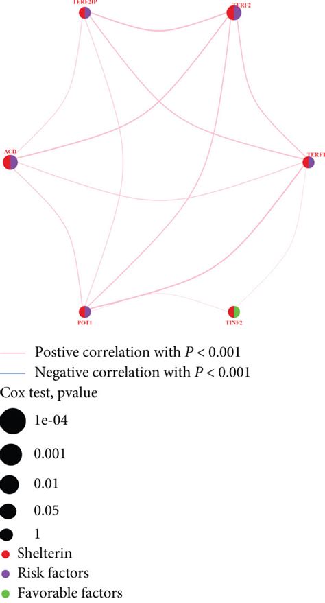 Sgs In Oscc Have Distinct Characteristics And Differences A