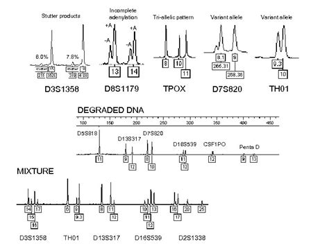 Chapter 10 Str Typing And Data Interpretation Fundamentals
