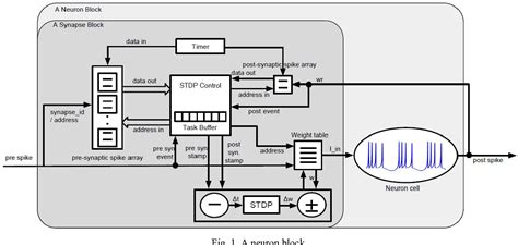 Figure 1 From Efficient Stdp Micro Architecture For Silicon Spiking Neural Networks Semantic