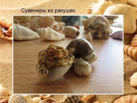 ракушки - online presentation