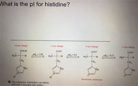 Solved Using The Chart Below Determine The Net Charge On Chegg Com